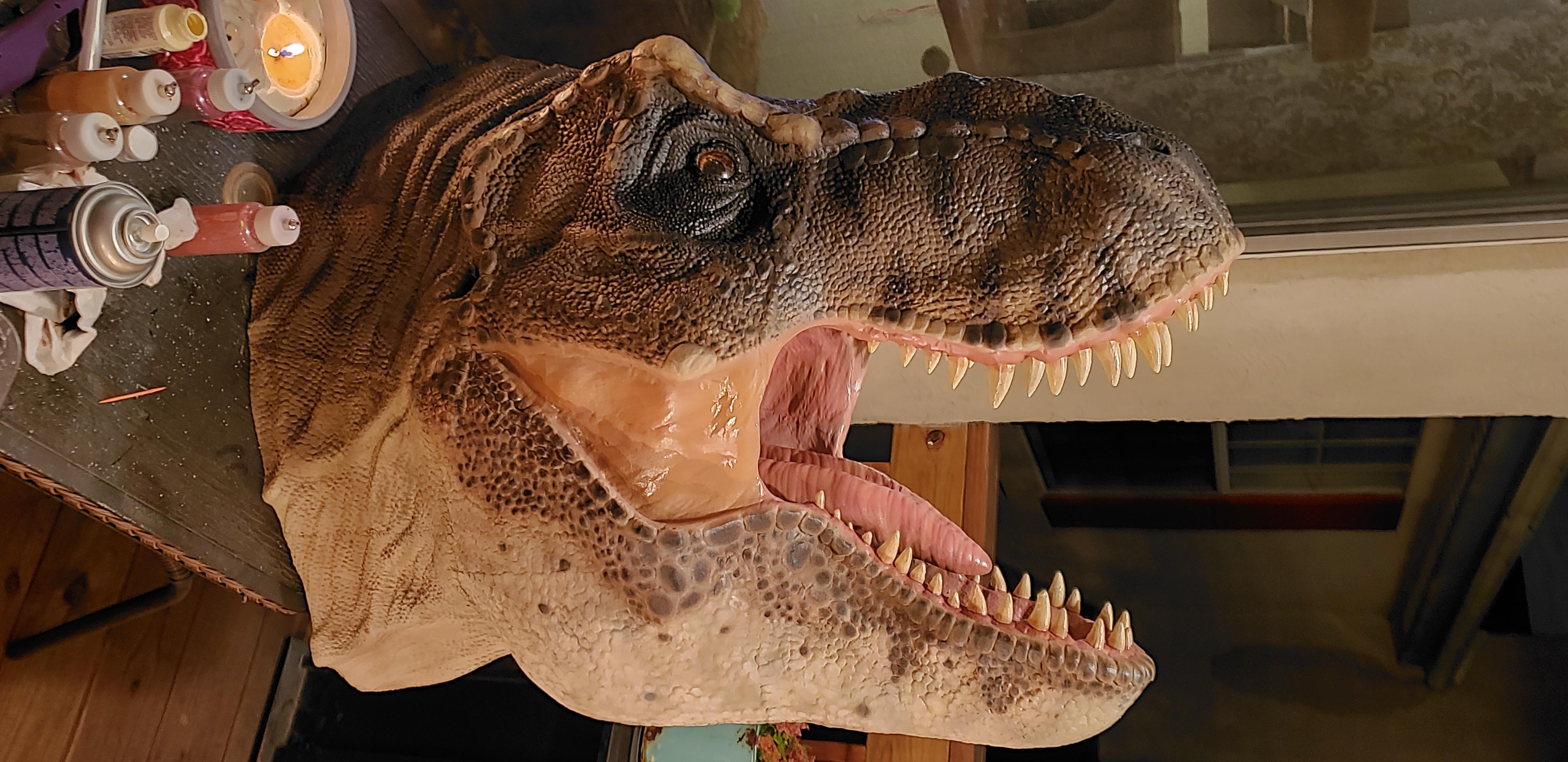 1 1 Scale Jurassic Park Tyrannosaurus Rex Bust Completed Page 3